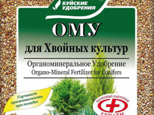 ОМУ "Для хвойных культур" - Орехоплодный питомник